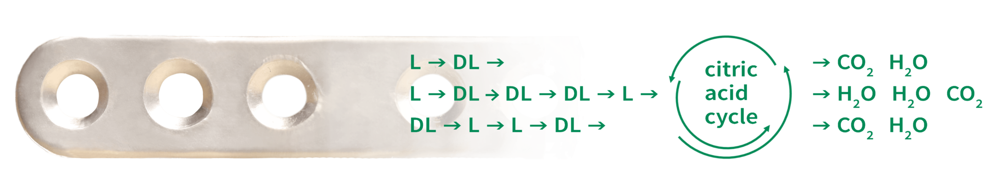 Inion - FAQ - Frequently Asked Questions